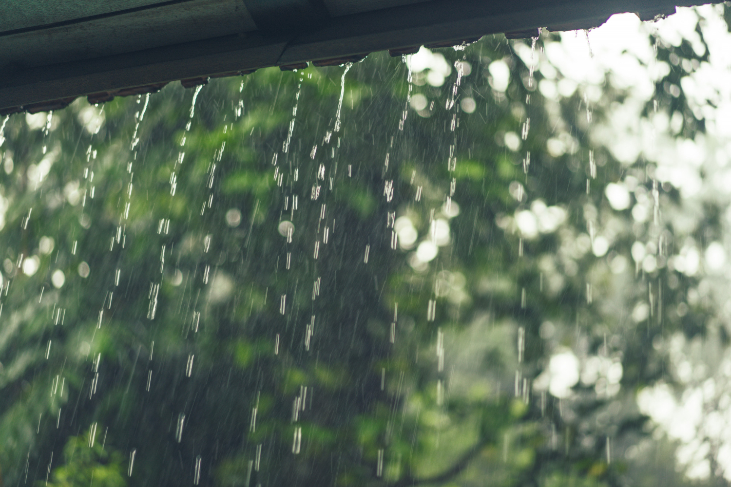 What is Rainwater Harvesting: A Homeowner’s Guide